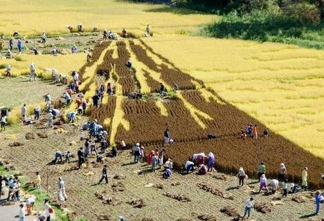 The Amazing Rice Paddy Art of Japan | Amusing Planet